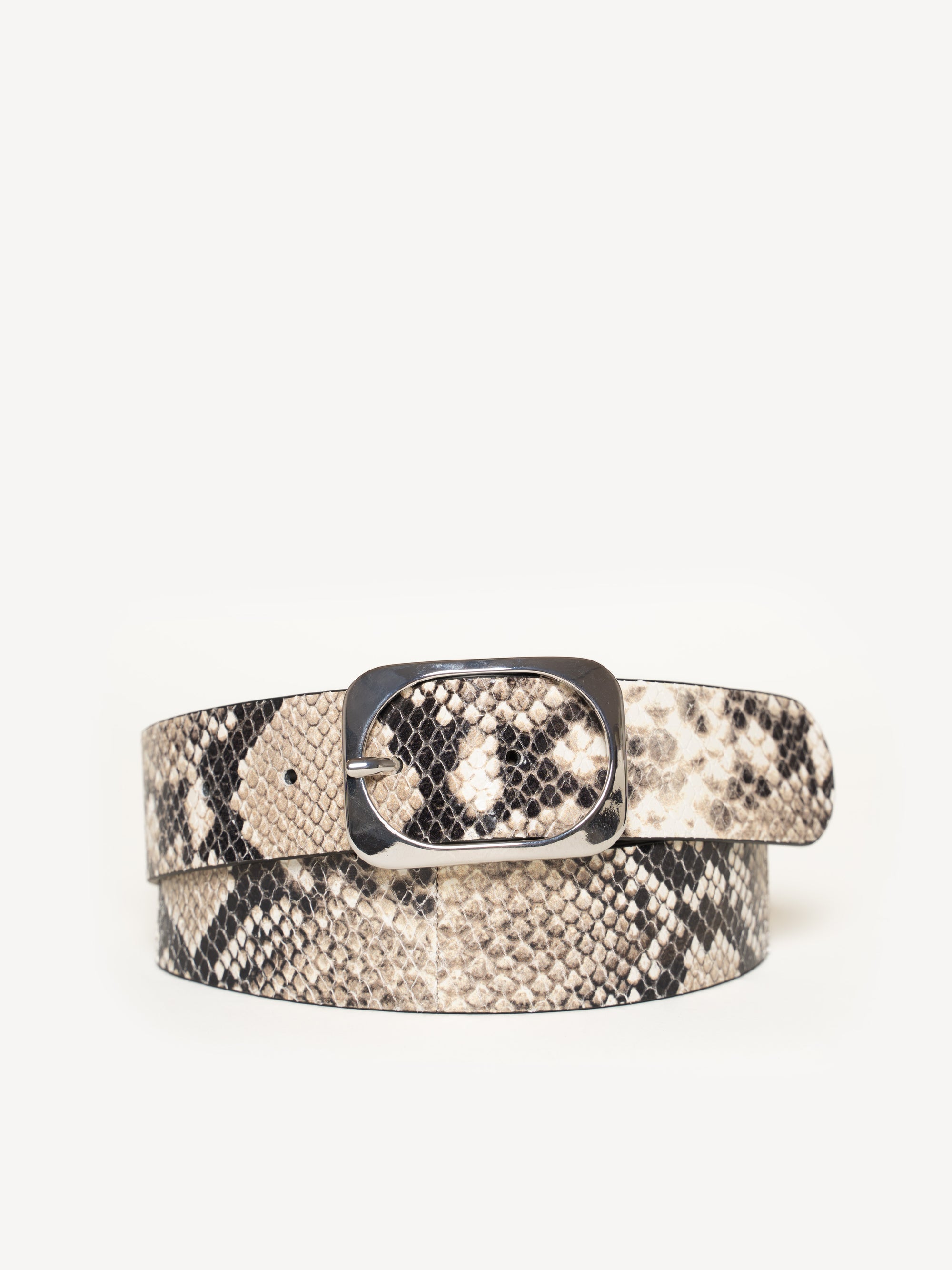 The Brigitta Belt - Multi Python Print - Snake Print - M.Gemi