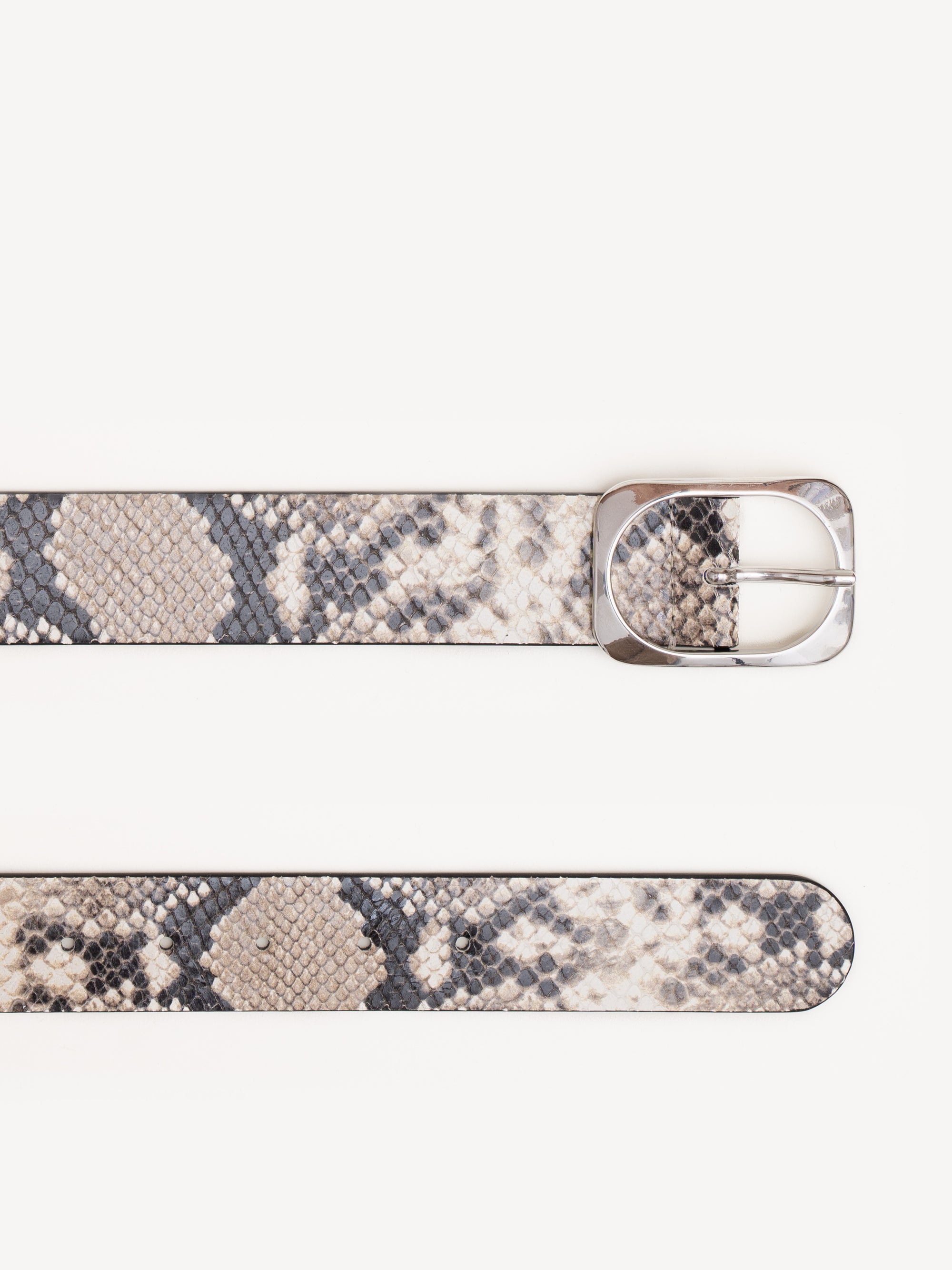 The Brigitta Belt - Multi Python Print - Snake Print - M.Gemi